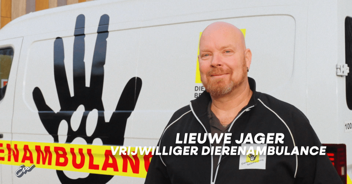 De schouders van Nederland: Lieuwe Jager, dierenambulance | Eva